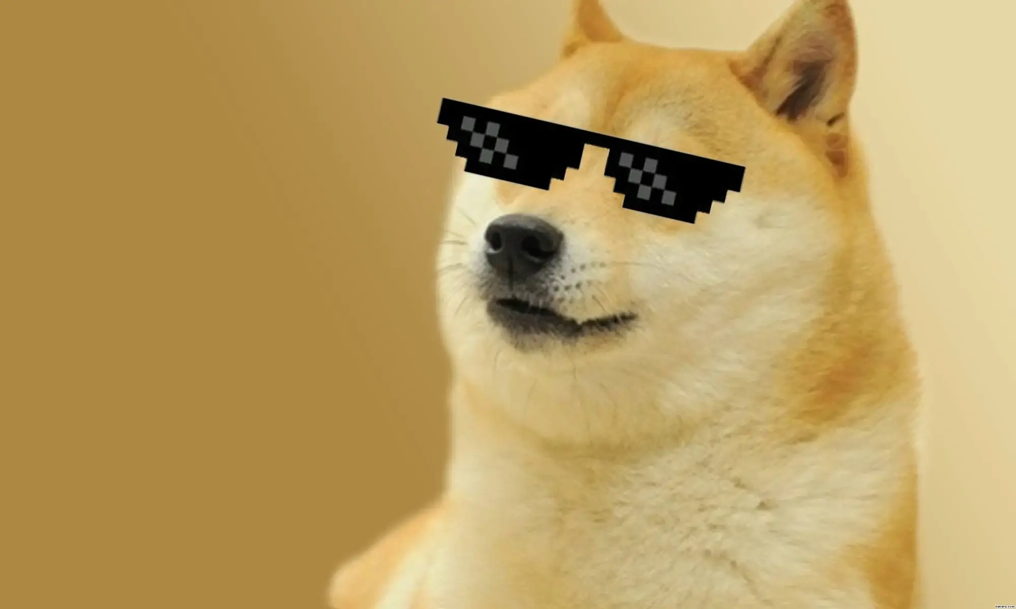 Original Shiba Inu Dog Behind Dogecoin Is Dangerously Ill