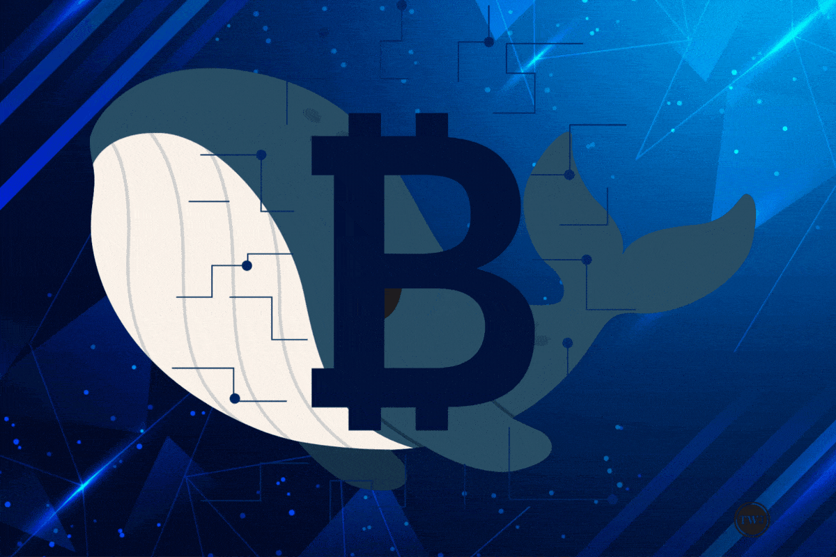 Bitcoin Whales Hold The Key To $30K Or $23K Price Levels