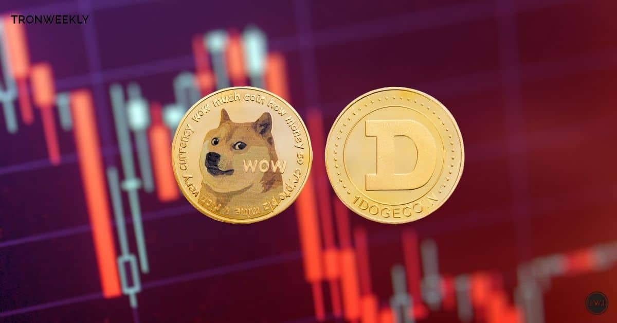 Dogecoin’s (DOGE) 12% Plunge Hides 182% Surge Potential