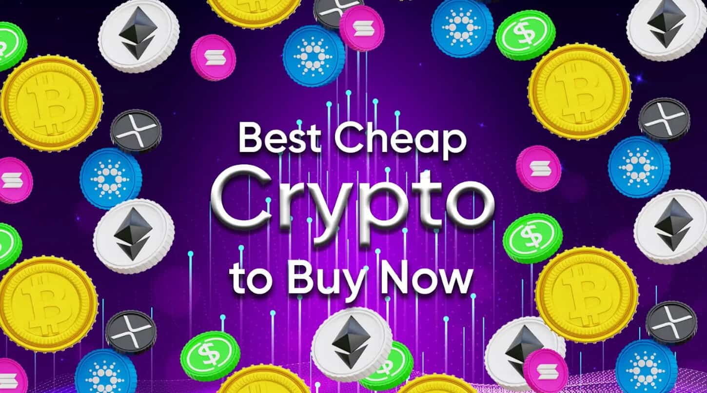 Best Cheap Crypto To Buy Now – Dawgz AI’s Ecosystem Grows