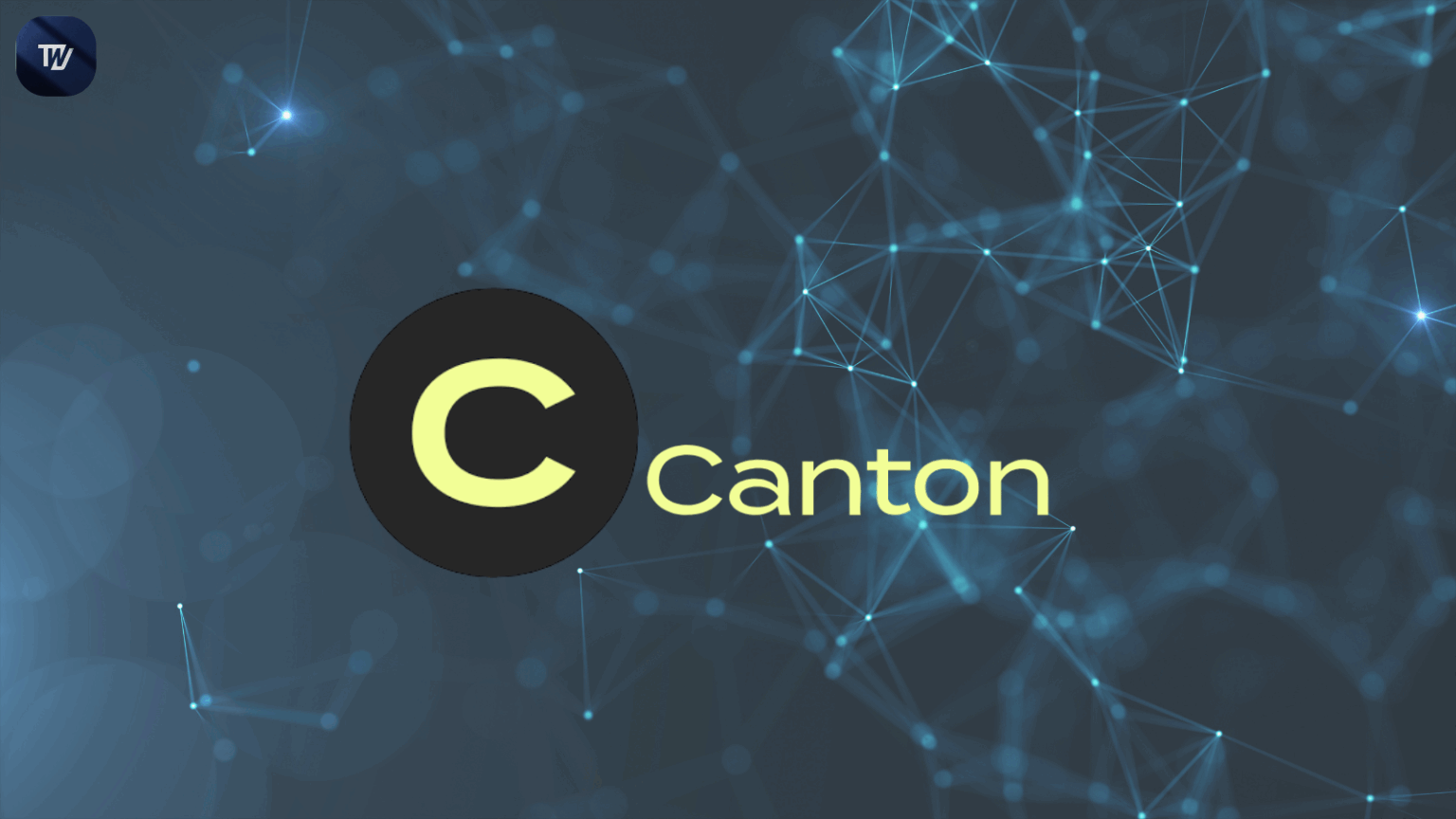 Canton Network Leads 10x Growth In Institutional Blockchain Adoption